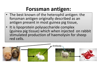 Antigen | PDF | Chemistry | Science
