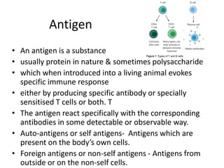 Antigen | PDF | Chemistry | Science