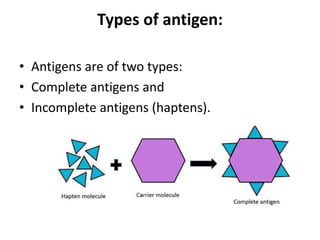 Antigen | PDF | Chemistry | Science