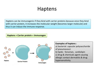 Antigen | PDF | Chemistry | Science