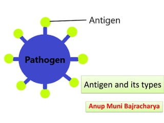 Antigens And Pathogens