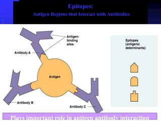 Antigen | PPT
