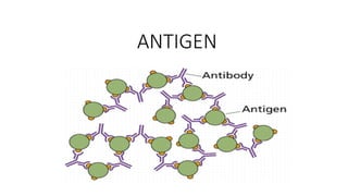 Antigen | PPTX | Chemistry | Science