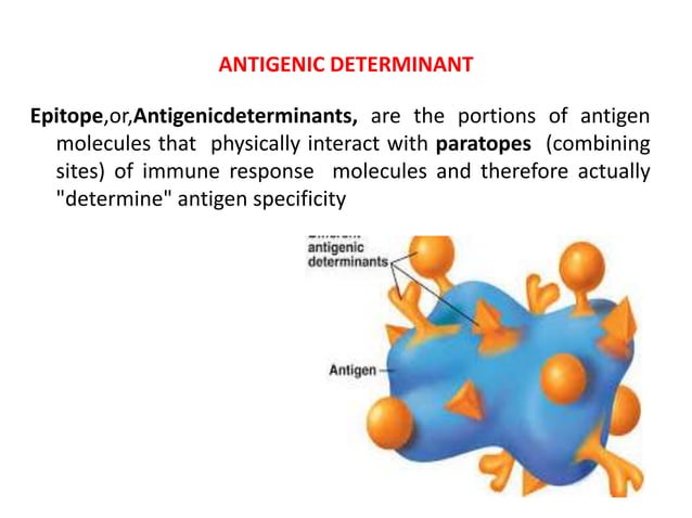 antigen.pptx | Vaccines | Medical Health