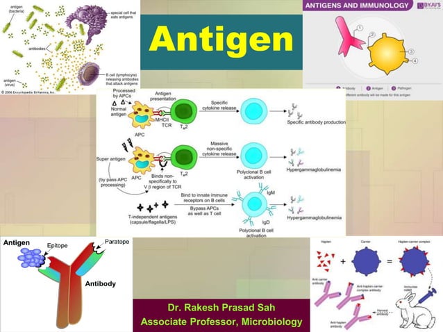Antigen.pptx | Vaccines | Medical Health