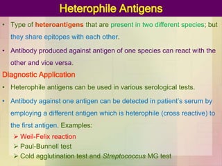 Antigen.pptx
