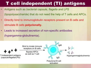 Antigen.pptx