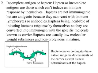Antigen.pptx