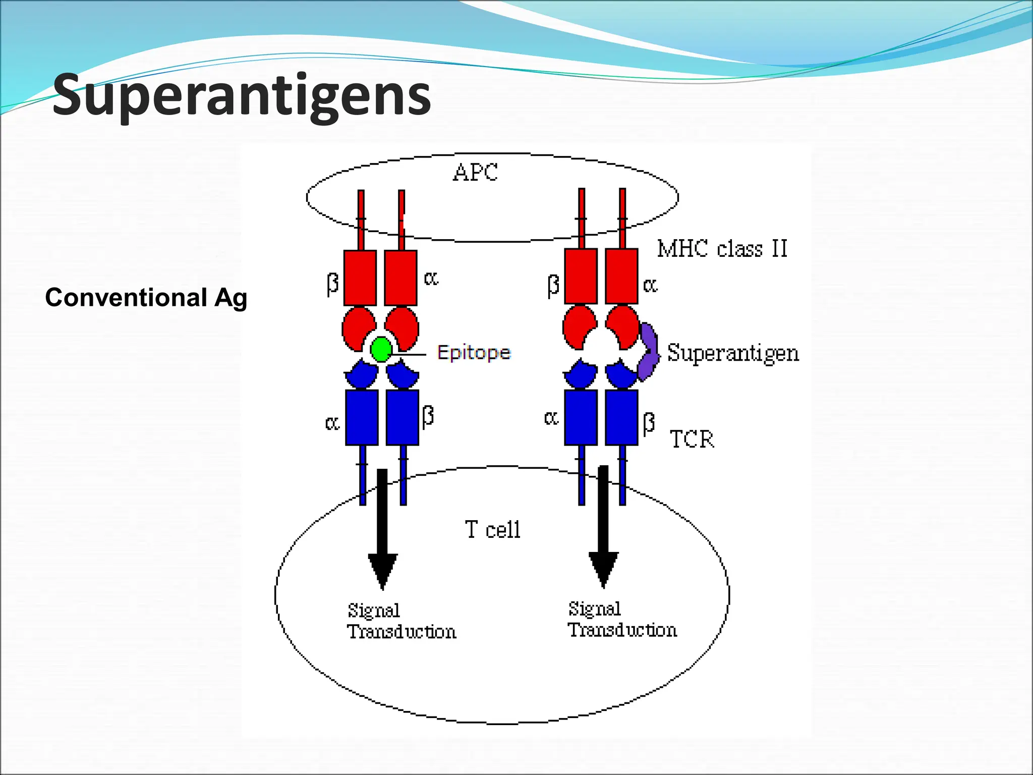Antigen and immunogens, types and mitogens .ppt