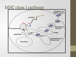 what are antigens? Significance and interaction with human body. | PPTX