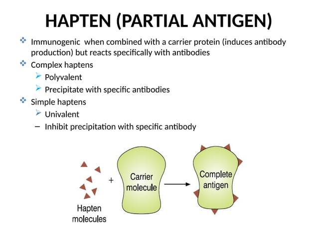 antigen antigen antigen antigenantigen.pptx