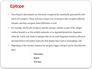 Microbiology - Immunology - Antigens.ppt