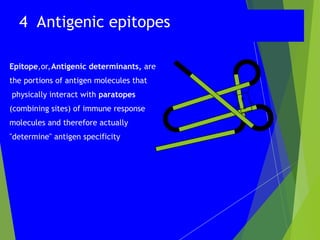 Antigen.antibodies, mechanism, types,ppt | PPT