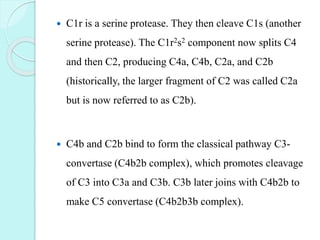 ANTIGEN-ANTIBODIES.pptx