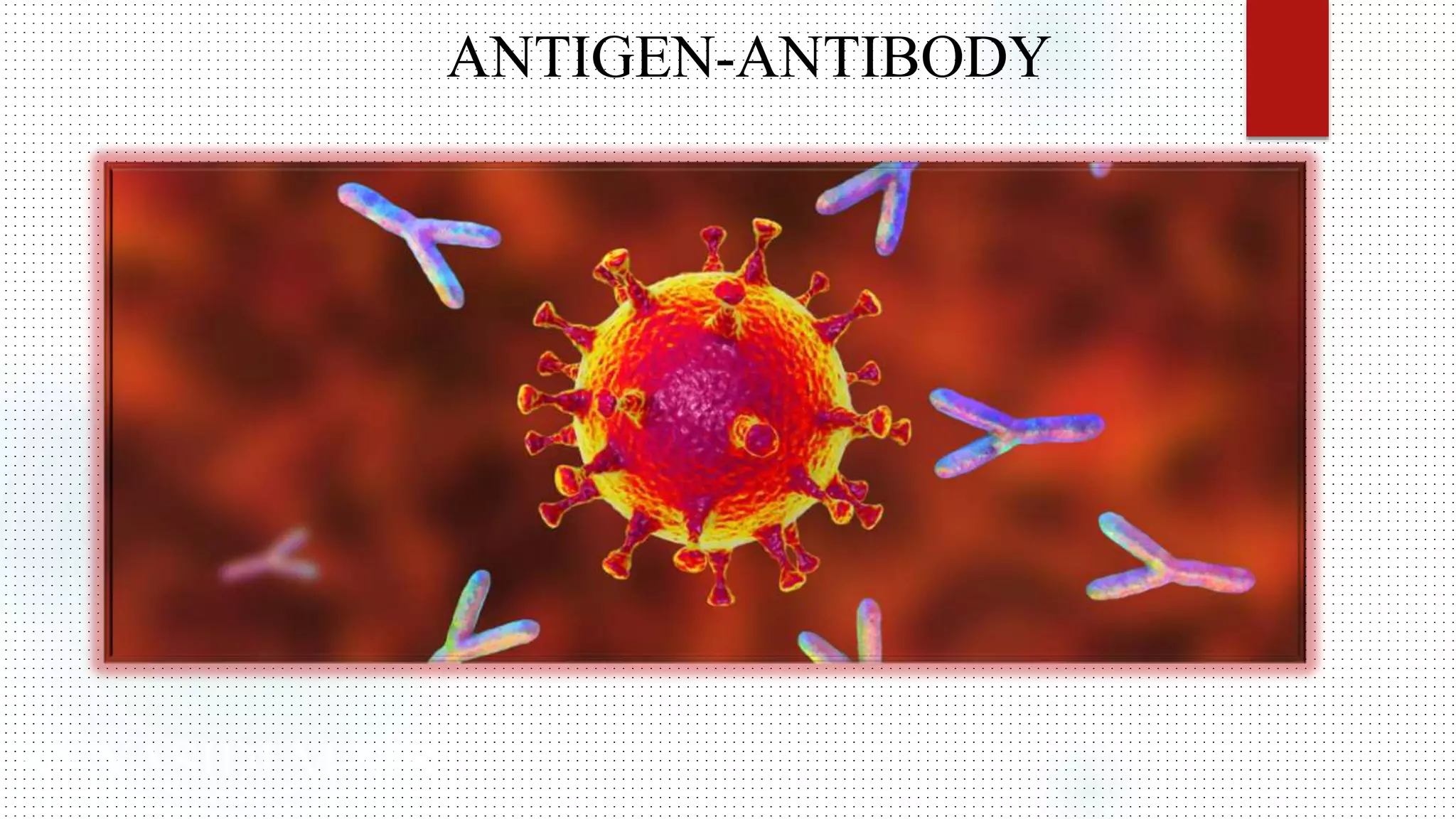 ANTIGEN-ANTIBODY.pptx