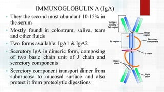 ANTIGEN-ANTIBODY.pptx