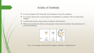 Antigen antibody interaction.pptx jitu | PPTX