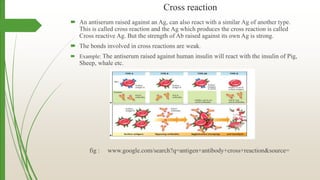 Antigen antibody interaction.pptx jitu | PPTX