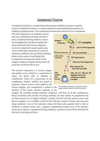 Antigen antibody interaction | PDF
