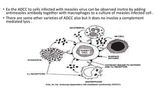 Antigen-Antibody interaction.pptx