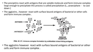 Antigen-Antibody interaction.pptx