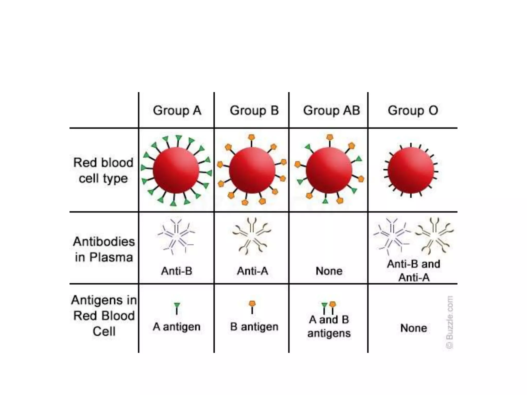 Antigen antibody reaction | PPT