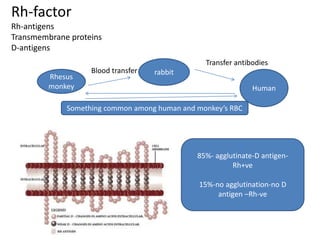Antigen antibody reaction | PPTX