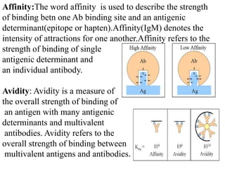 Antigen-Antibody Reaction..pptx