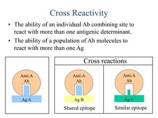 Antigen-Antibody Reaction..pptx