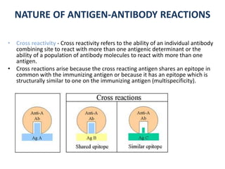 Antigen antibody reactions | PPTX