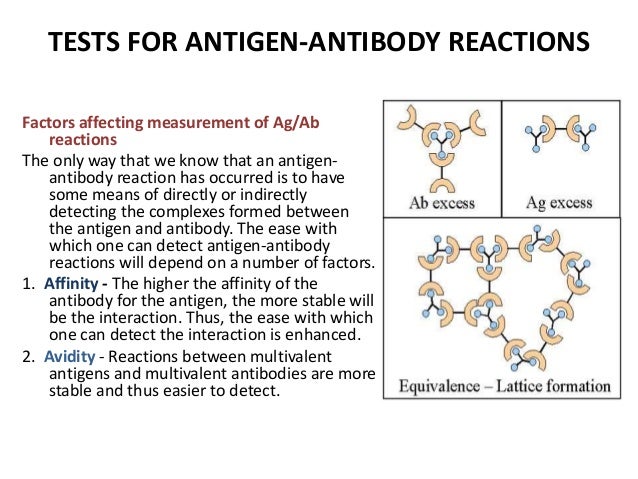 Antigen antibody reactions