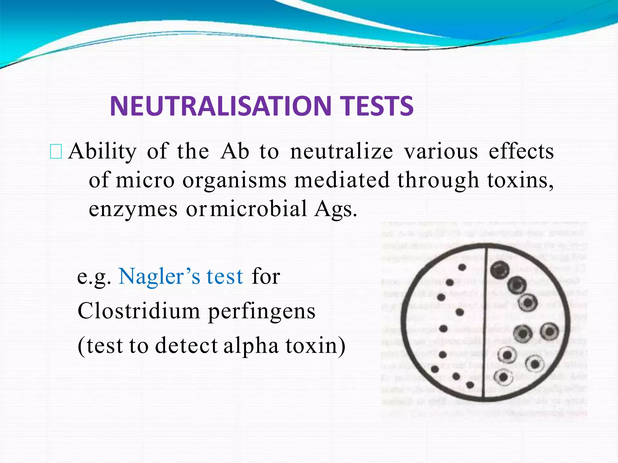 Antigen antibody reactions | PPTX