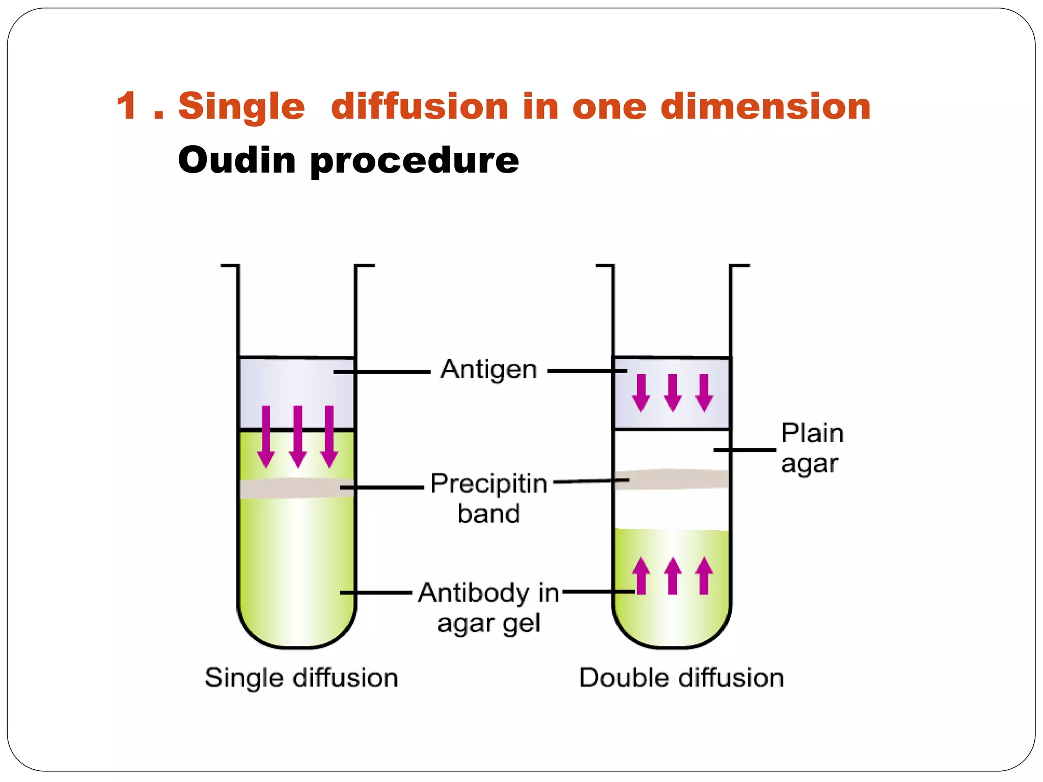 Antigen - antibody reactions.ppt