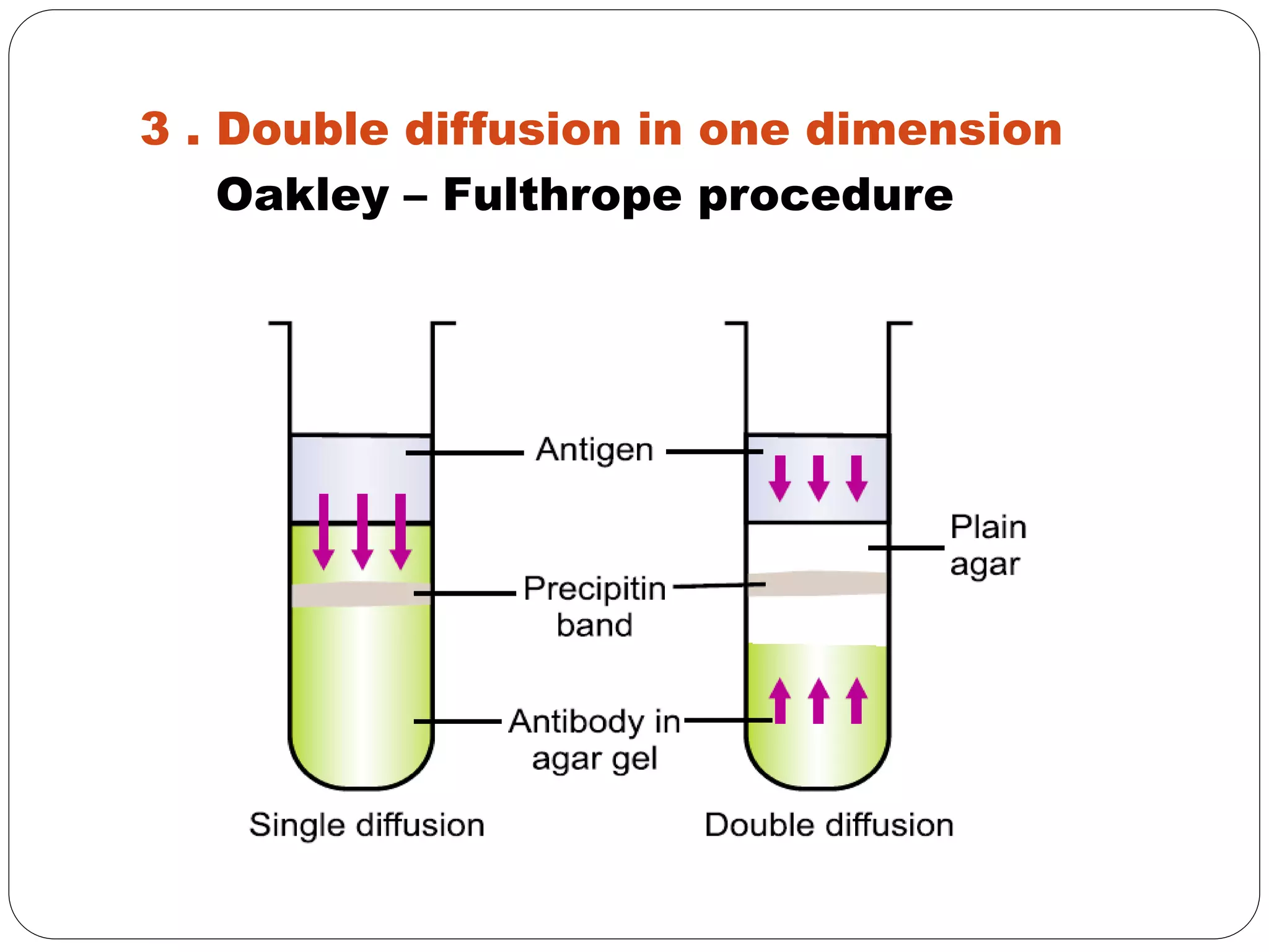 Antigen - antibody reactions.ppt