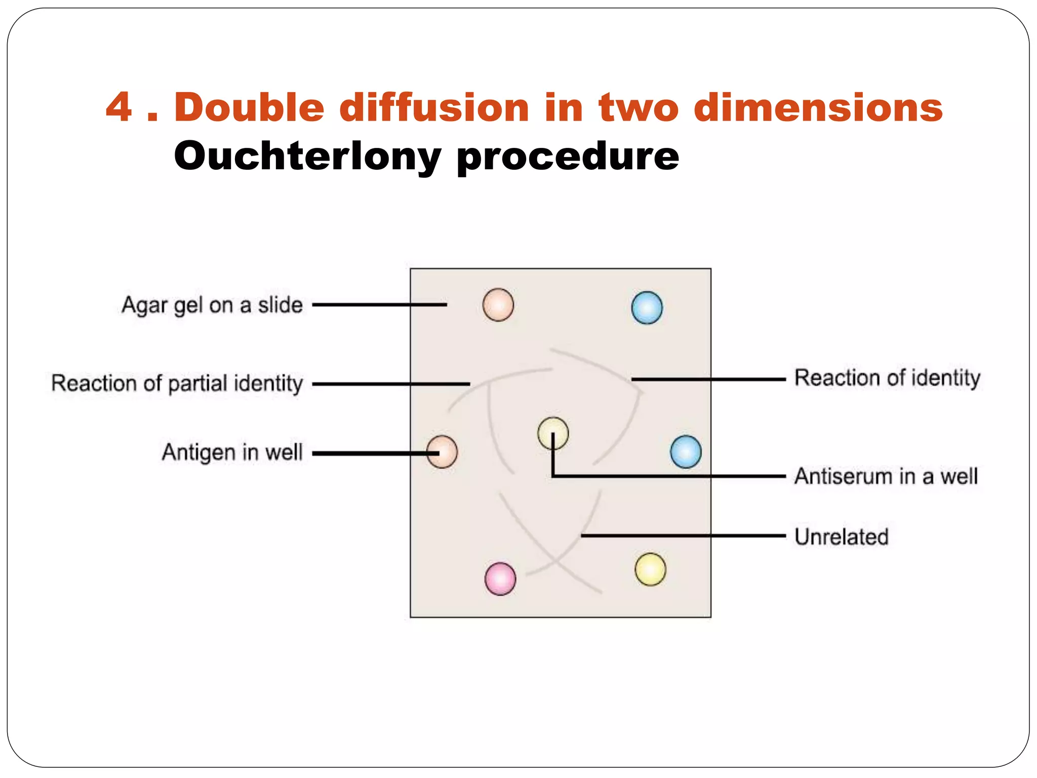 Antigen - antibody reactions.ppt