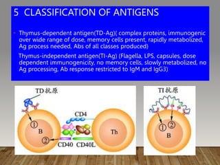 Antigen-Lecture-51 (1).ppt