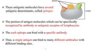 Antigen | PPTX