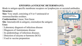 Antigen | PPTX
