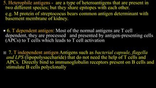Antigen | PPTX
