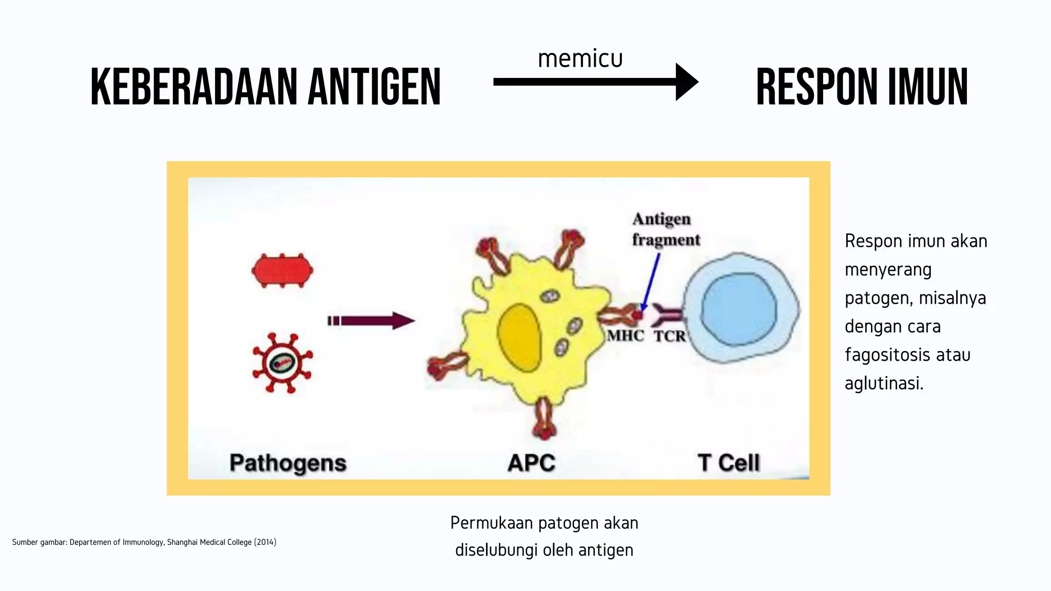 Antigen.pptx