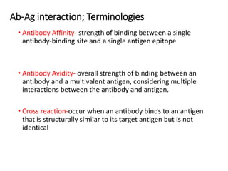 antigen and antibody.The function of the T and B lymposites | PPTX