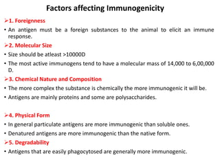 antigen and antibody.The function of the T and B lymposites | PPT