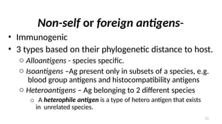 Antigen and Antibody mechanism of action | PPTX