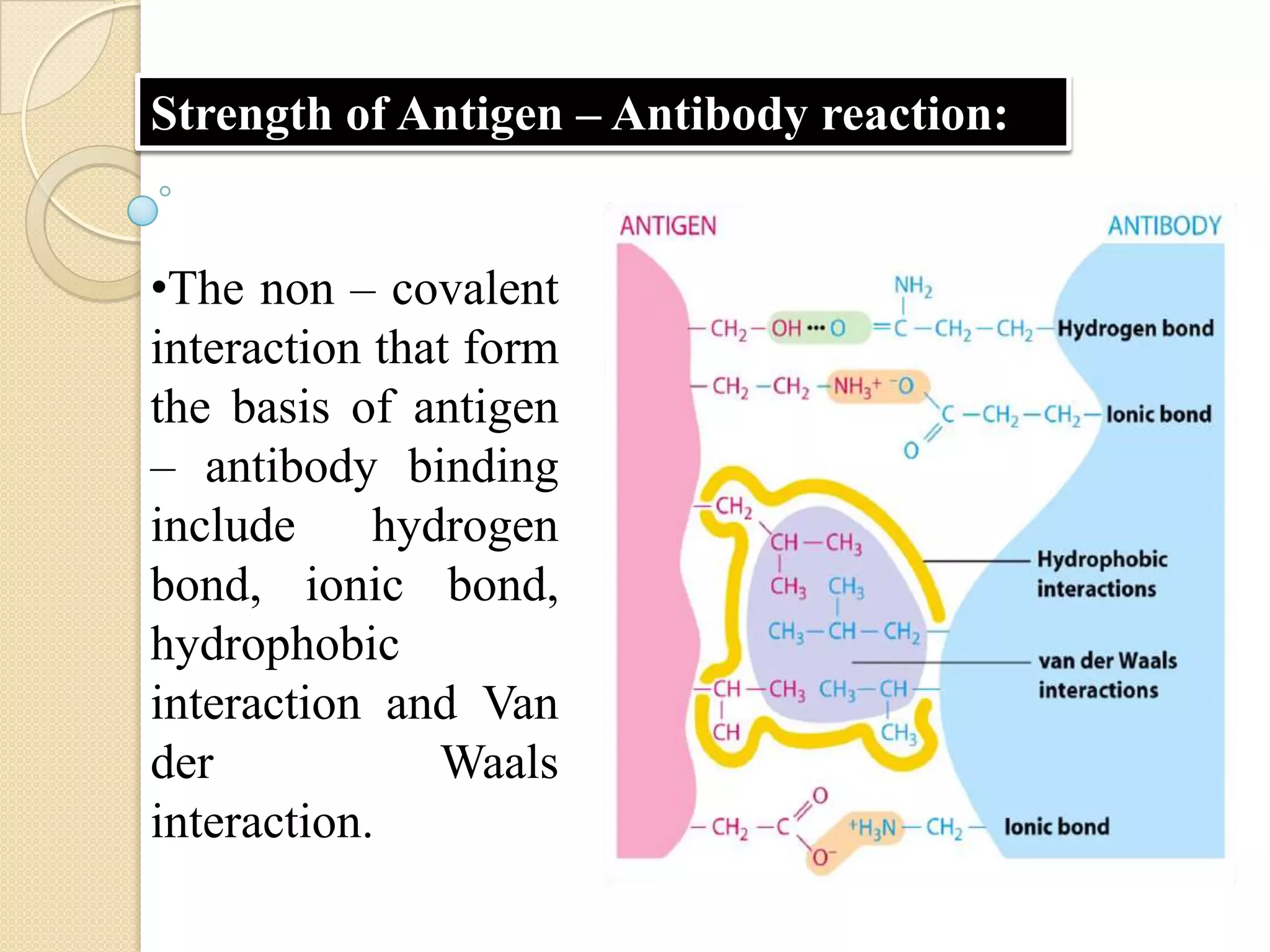Antigen and antibody reaction | PPTX
