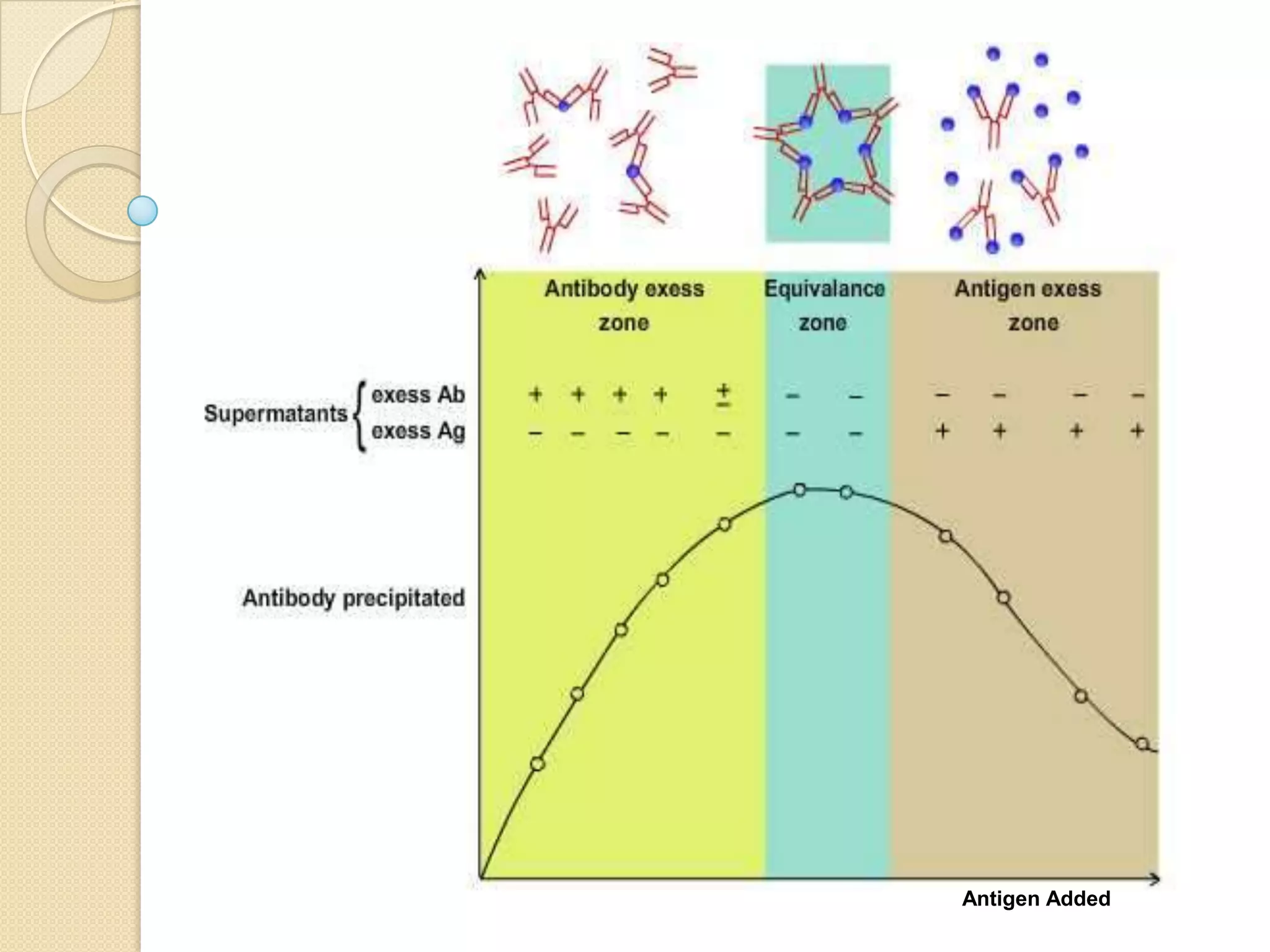 Antigen and antibody reaction | PPTX