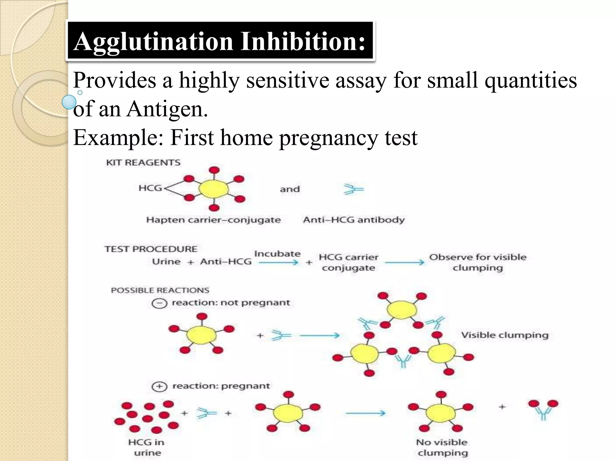 Antigen and antibody reaction | PPTX