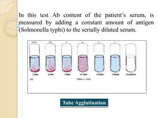 Antigen and antibody reaction | PPTX