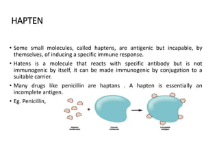 Antigen And Antibody Sachin.pptx