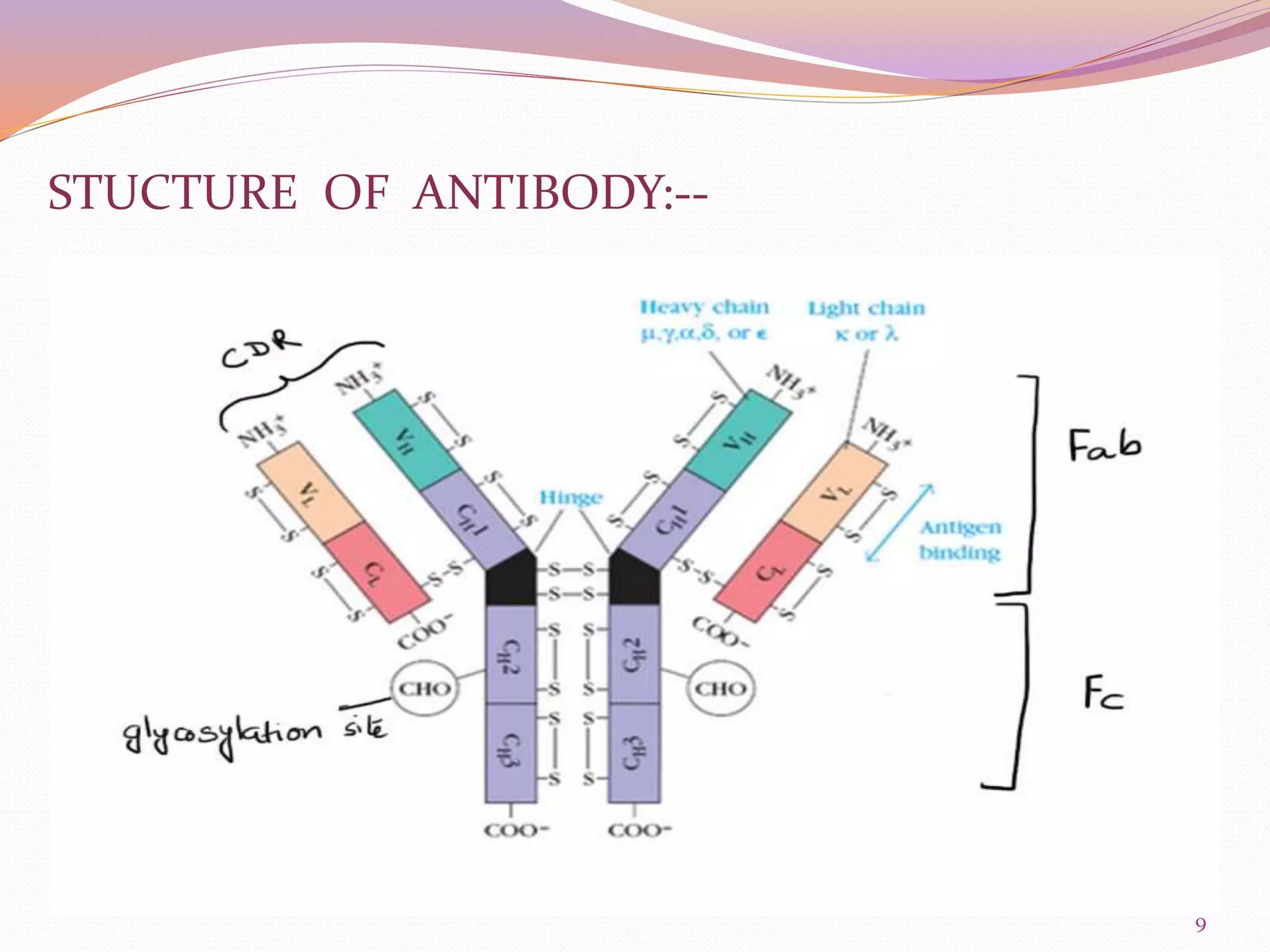 Antigen & antibody | PPTX