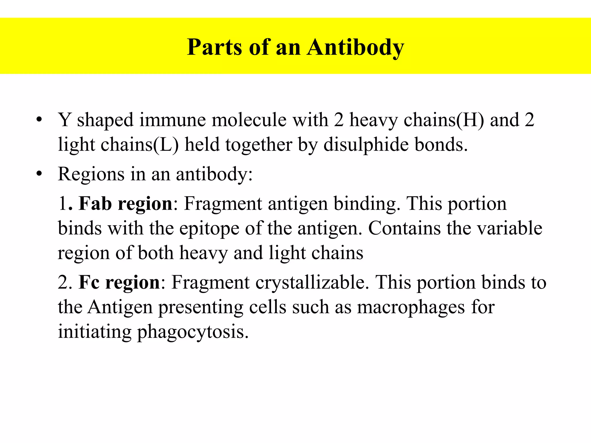 Antigens & Antibodies- All you have to know | PPTX